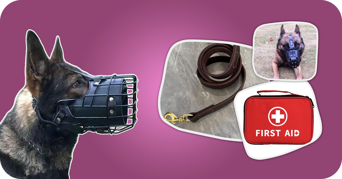 Extendable Dog Lead – Elite Pet Shop