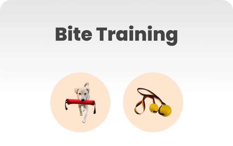 Bite Training – Elite Pet Shop